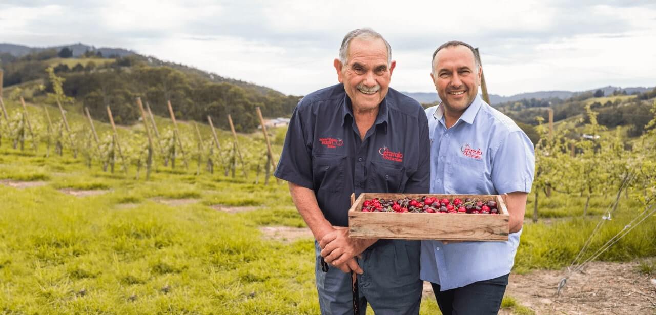 Winning Together with Coles | coles supplier central