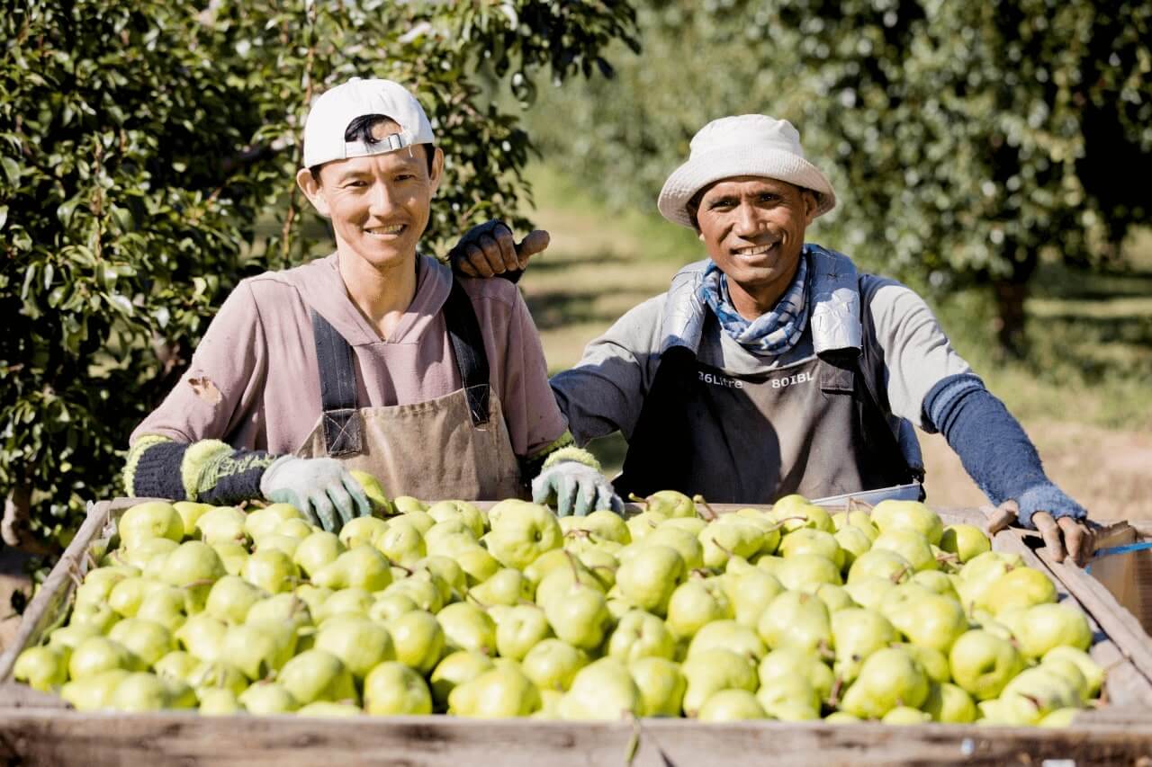 Sustainability | coles supplier central