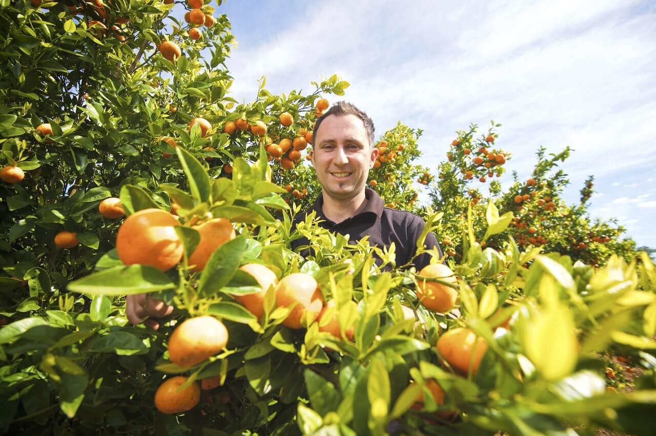 Home | coles supplier central